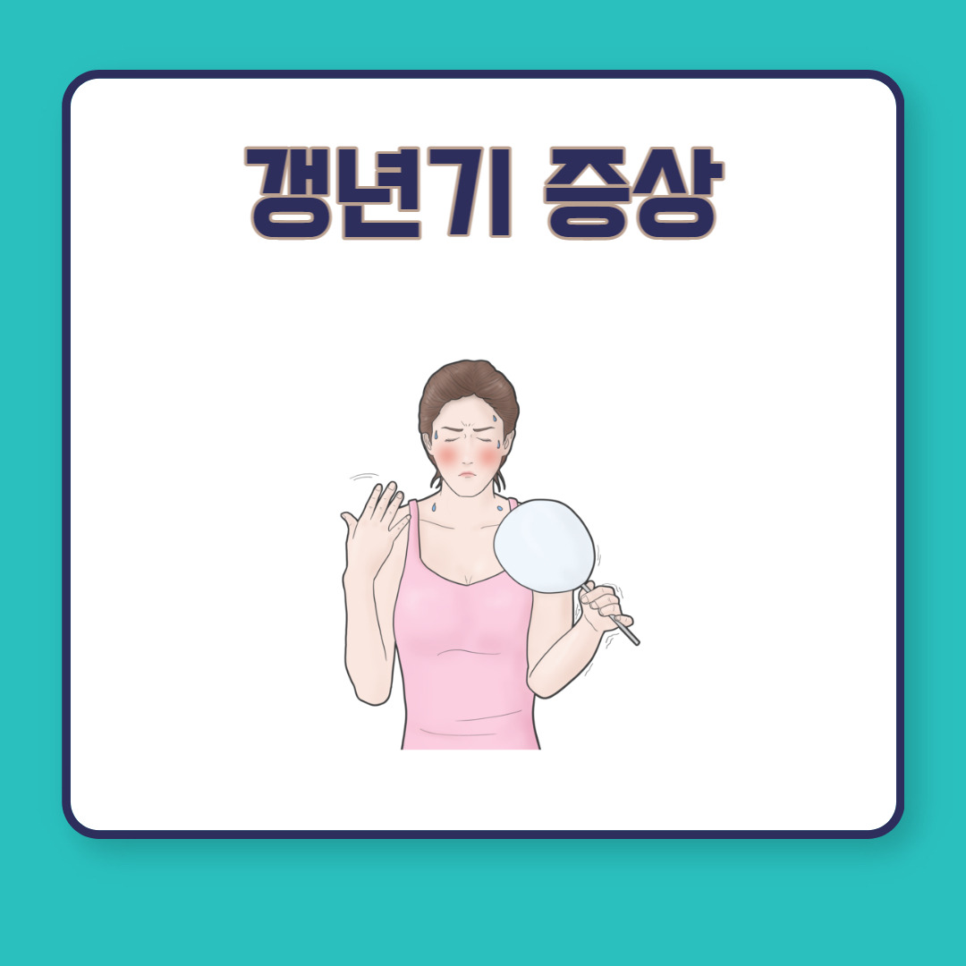갱년기 여성을 위한 여성 호르몬제 안젤릭정 효능 효과 복용법 부작용 알아보기
