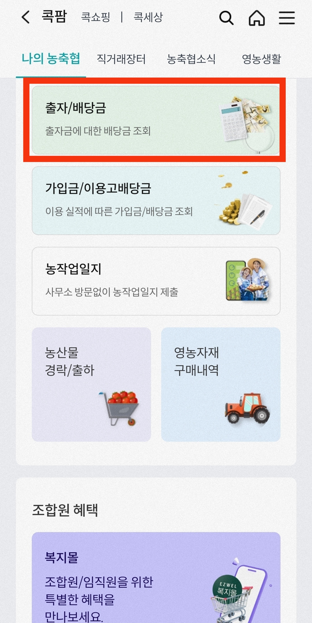 농협 조합원 사업 준비금 출자금 배당금이용고 배당금 세율 확인 방법농협 어플 Nh콕뱅크