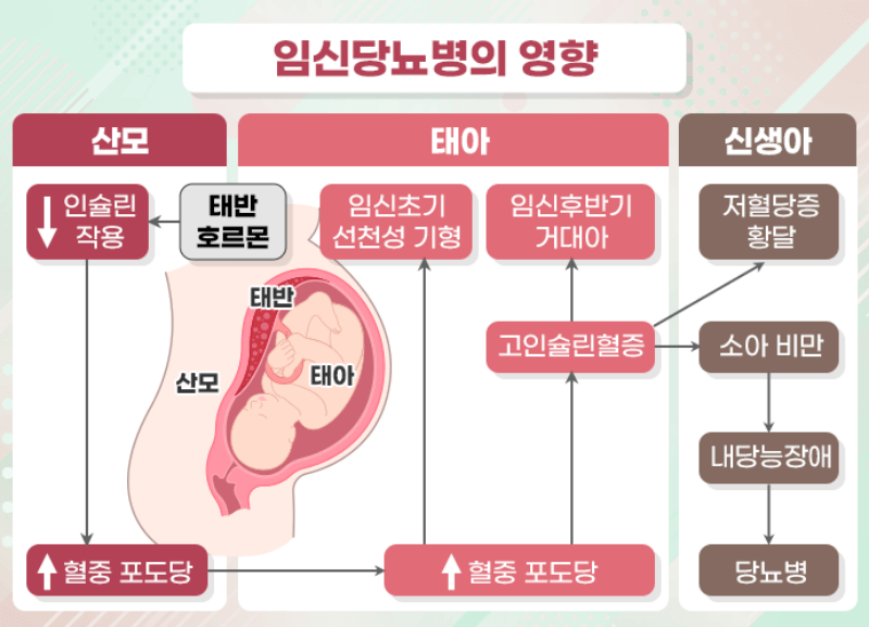 임신 중 당뇨임신성 당뇨병 완벽 정리 임신성 당뇨가 산모와 아이에게 미치는 영향