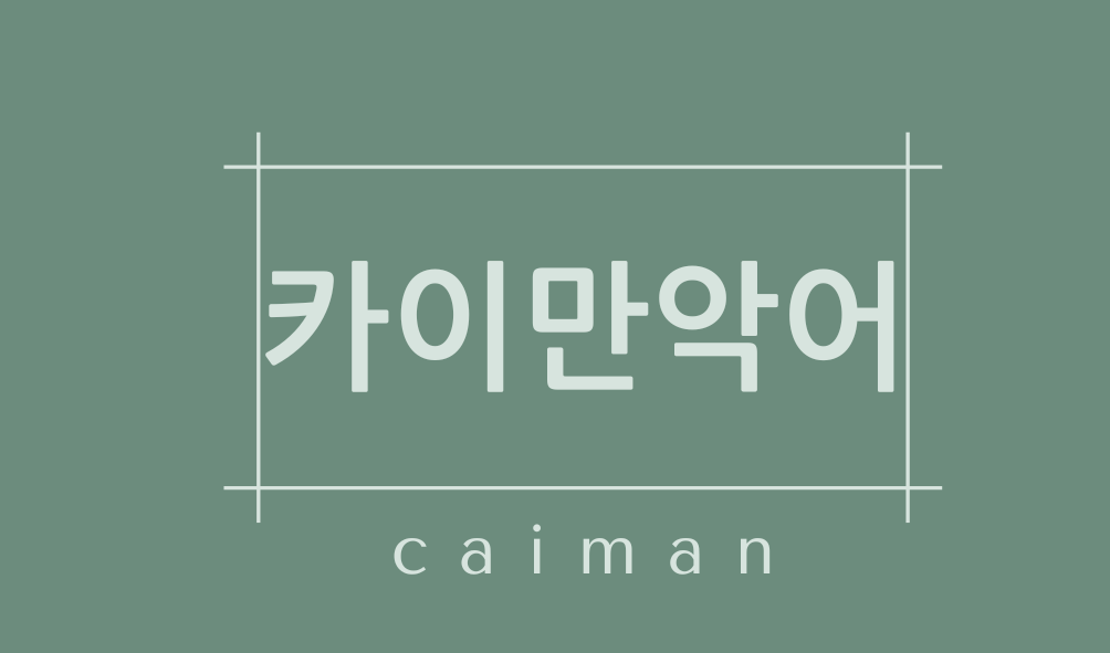 카이만악어caiman특징서식지종류천적수명몸무게꿈해몽