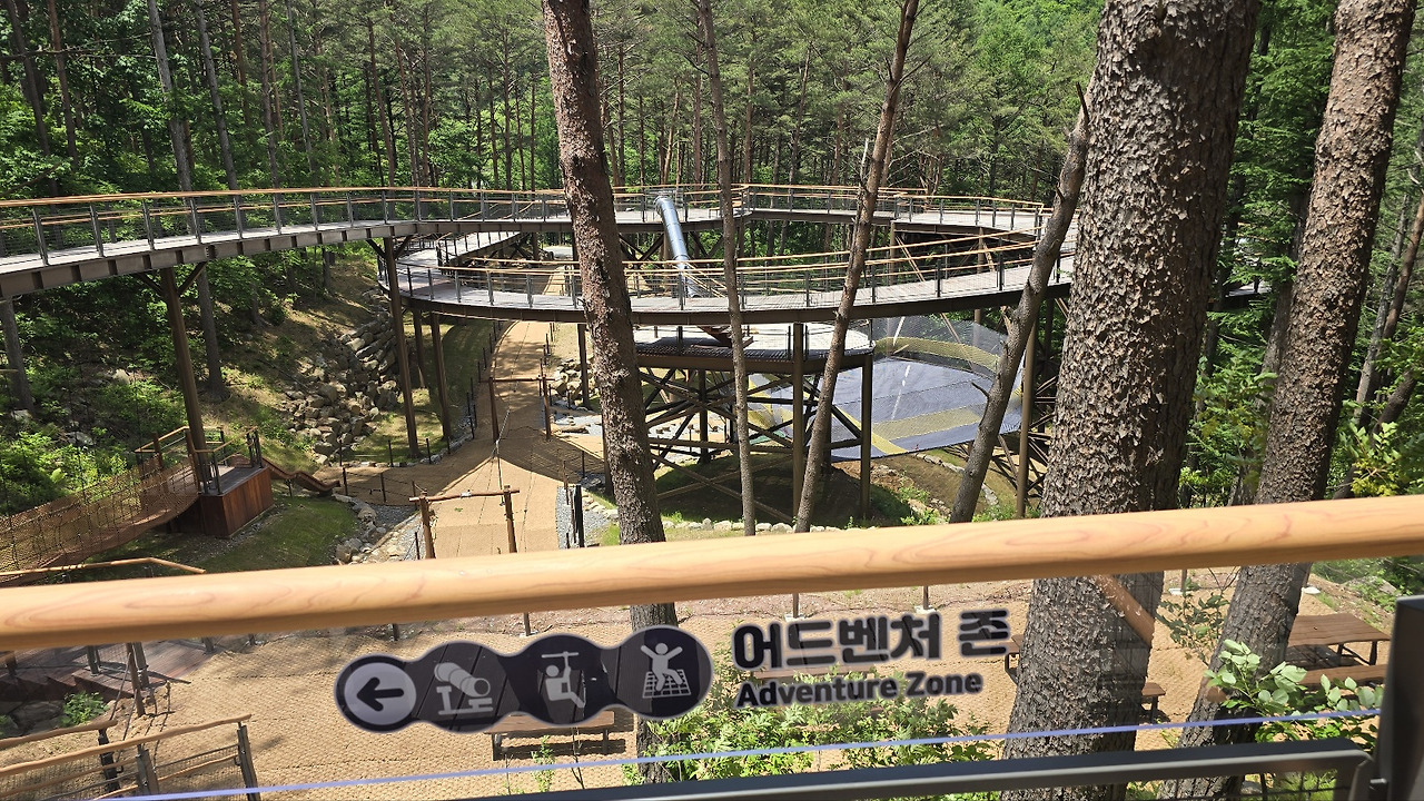 태백여행 태백산 하늘전망대 제대로 즐기는 생생정보