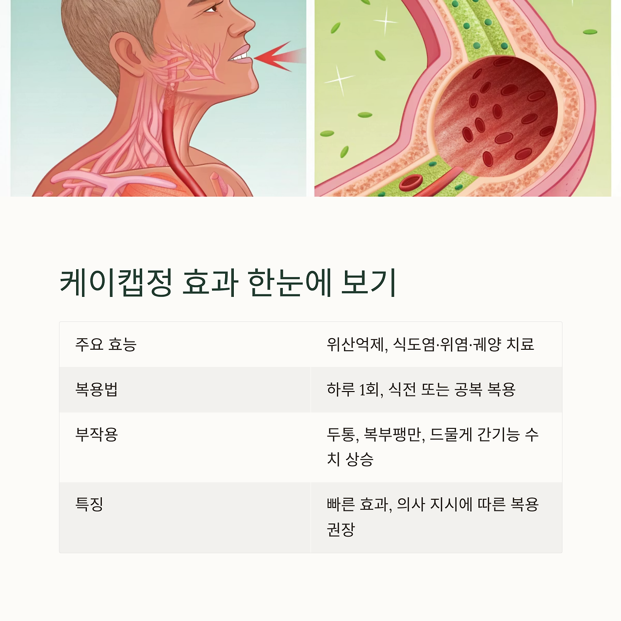 케이캡정 50mg 효능 부작용 복용법 총정리