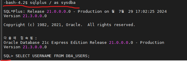 오라클 sqlplus / as sysdba 에러