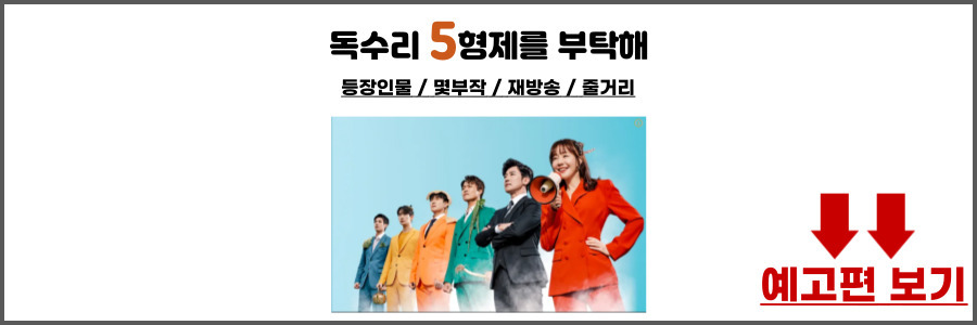 독수리 오형제를 부탁해 등장인물 관계도 드라마 몇부작 재방송 정보 및 줄거리 총정리