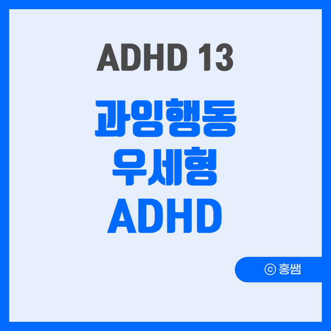 Adhd 13 과잉행동 우세형 Adhd