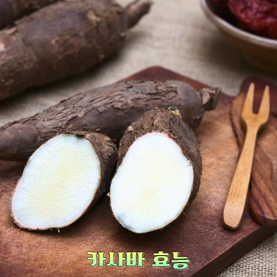 카사바 효능 영양성분 고르는법 부작용