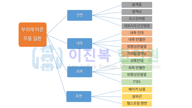 전주 이진복한의원 무릎 관절의 해부학적 구조