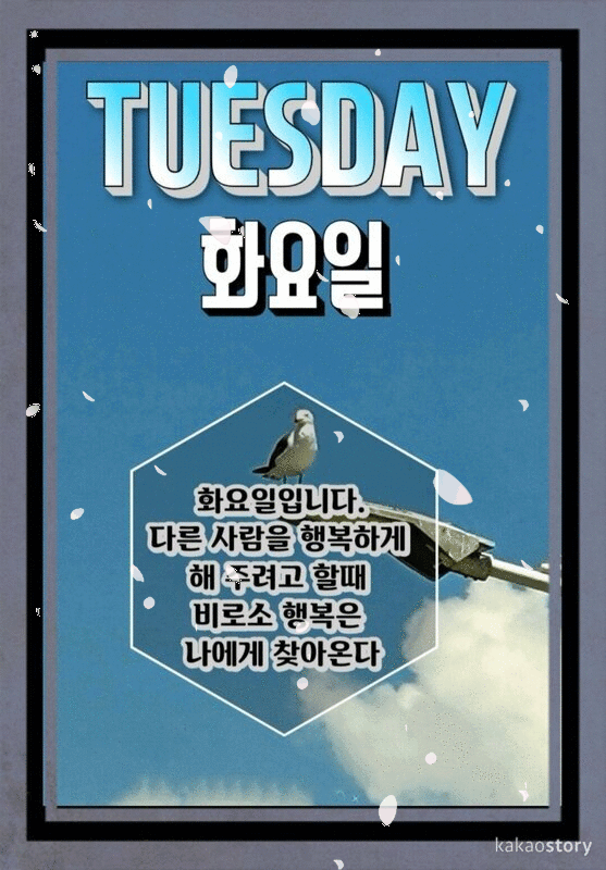 화요일 인사말 메세지 이미지 15가지 화요일 아침인사 파이팅 할 수 있는 마법의 문구들 생활 정보 관심이