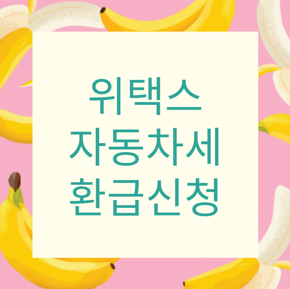 자동차세 환급 신청 방법 총정리 인터넷 관할 세무서