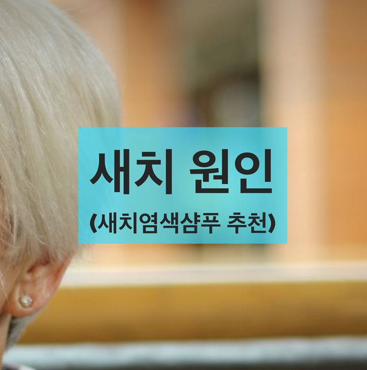귀띄르염색샴푸닥터그루트새치 나는 이유새치염색새치샴푸추천