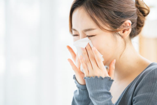 삼나무 꽃가루 알레르기를 근본적으로 치료하는 설하 면역 요법이란