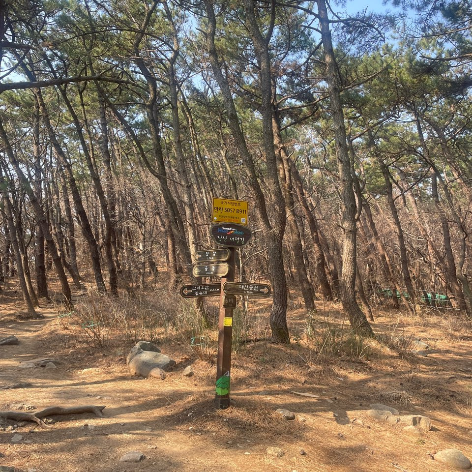 650칼로리 타파가능한 부산 해운대 장산 등산코스 왕복3시간주차안내 정불리의하루
