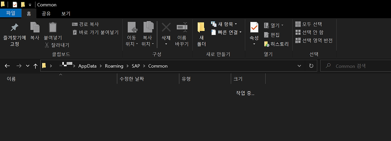 SAP GUI 세팅 - saplogon.ini migration (접속 정보 복사) 760 이상 버전 방법 포함