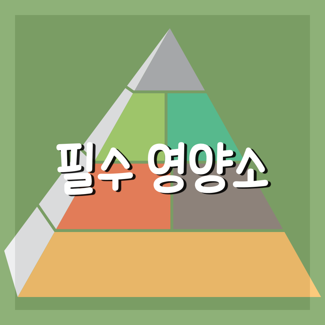 영양 필수영양소탄수화물 단백질 지방 비타민 무기질 물 에너지균형