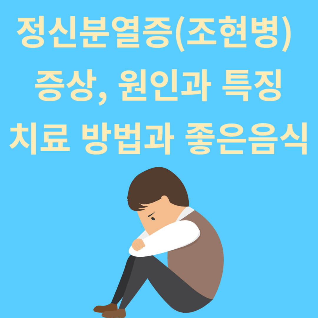 정신분열증조현병의 증상과 원인 특징 및 치료법과 좋은 음식 알기