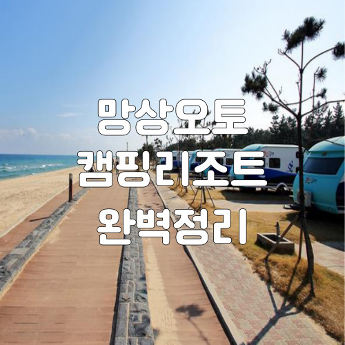 망상오토캠핑리조트 캠핑장 글램핑 카라반 예약 날씨정보 동해가볼만한곳