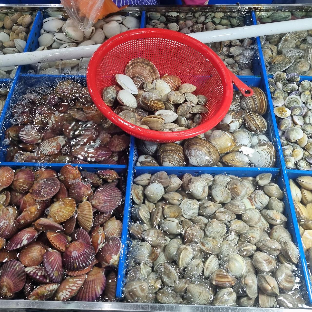 수원 수산물 도매시장 대방어 참치 등 겨울 해산물 맛집