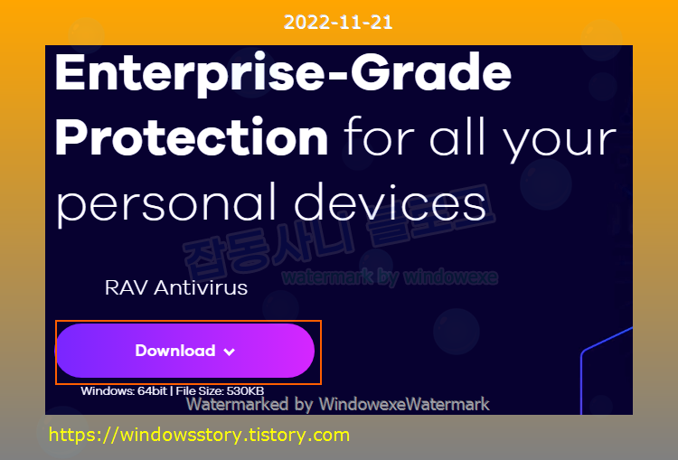 RAV Endpoint Protection 안티바이러스 다운로드