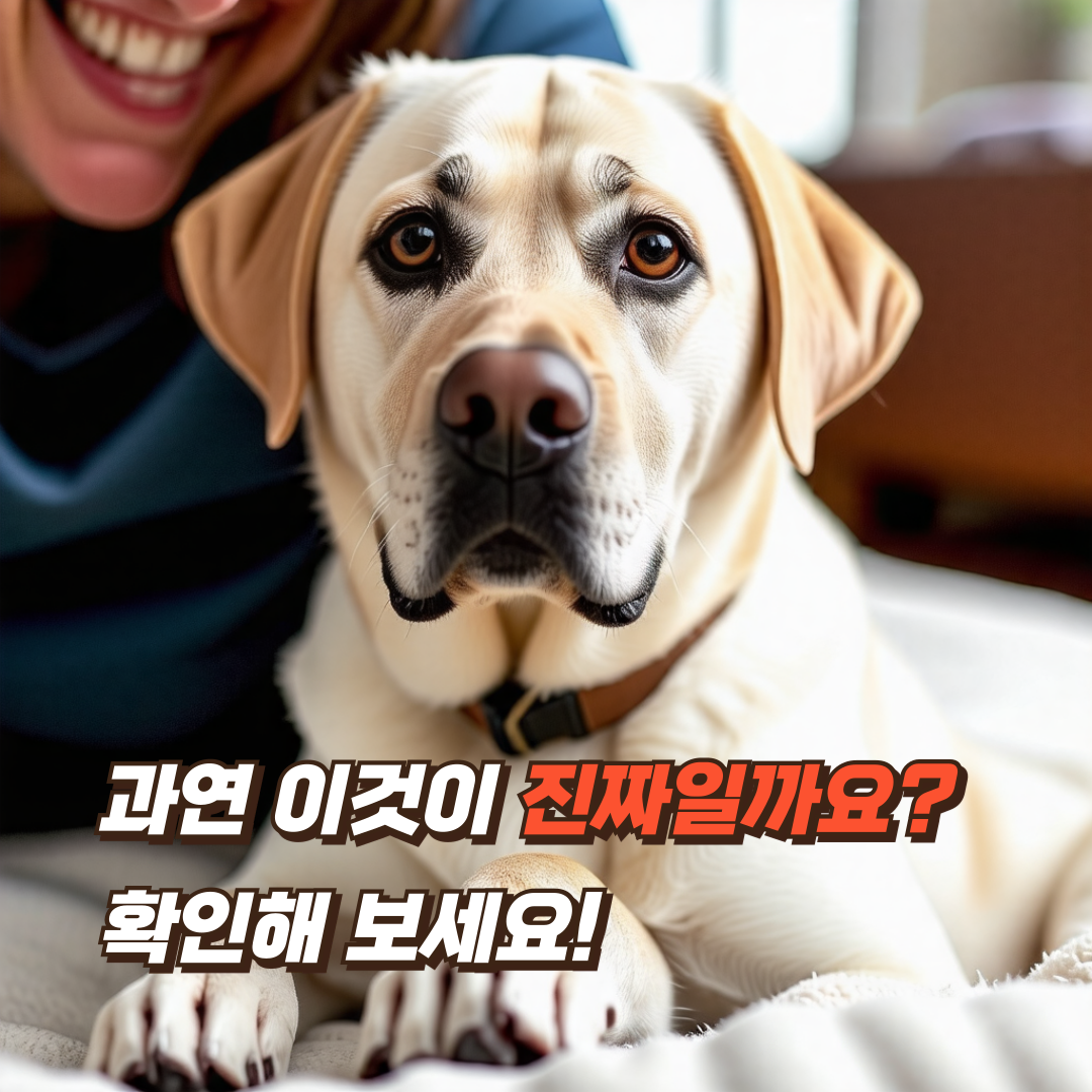 The Ultimate Guide to Premenstrual Syndrome (PMS): Symptoms and Natural ...