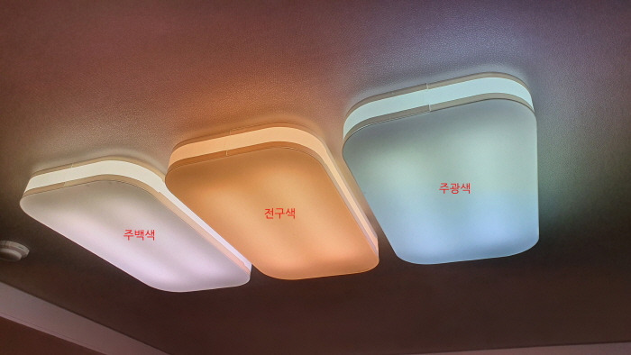 형광등 주백색 주광색 전구색 비교