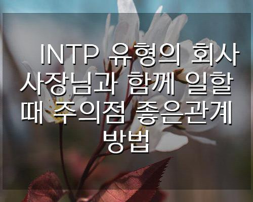 INTP 유형의 회사 사장님과 함께 일할 때 주의점 좋은관계 방법