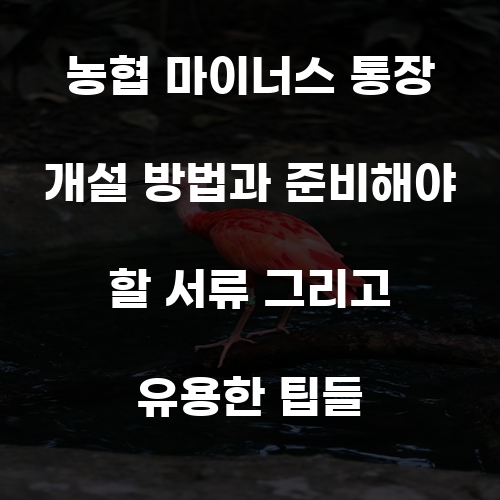 농협 마이너스 통장 개설 방법과 준비해야 할 서류 그리고 유용한 팁들