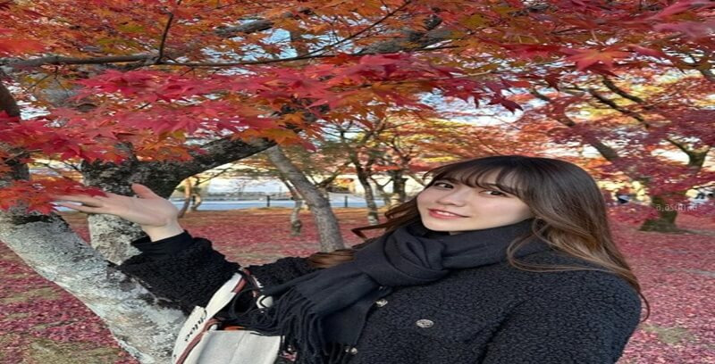 일본 AV 배우 이치노 아오이(一乃いちの あおい) 프로필 키 몸무게 나이 혈액형 사이즈 품번
