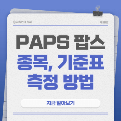 PAPS 팝스 기준표 및 종목 측정 방법