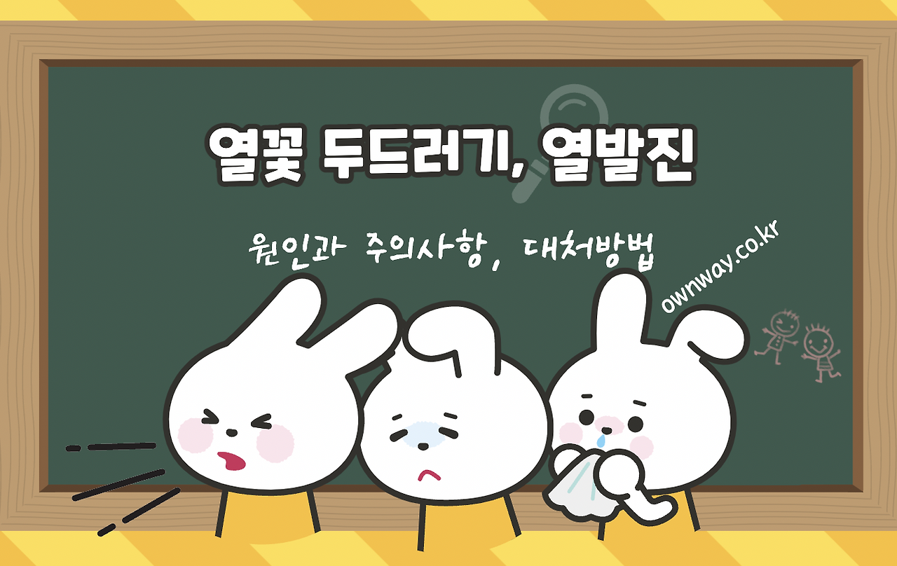 열꽃 두드러기 발진 원인과 대처방법 Ownway