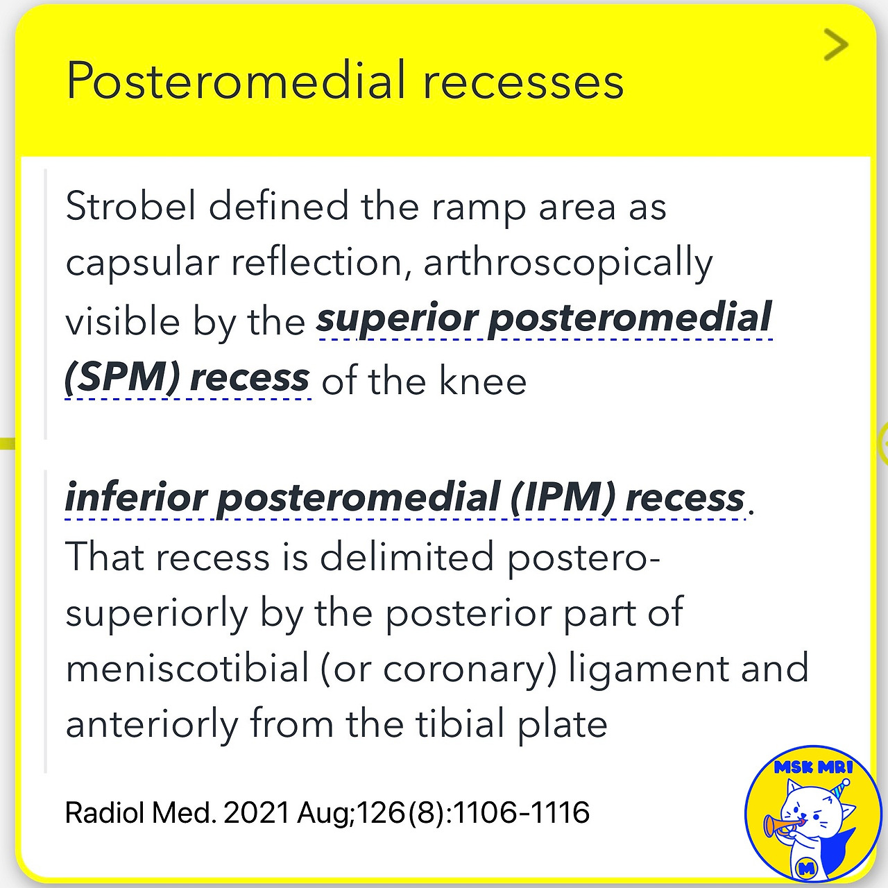 (Fig 4-D.14) Anatomical Knee Recesses: Part 2