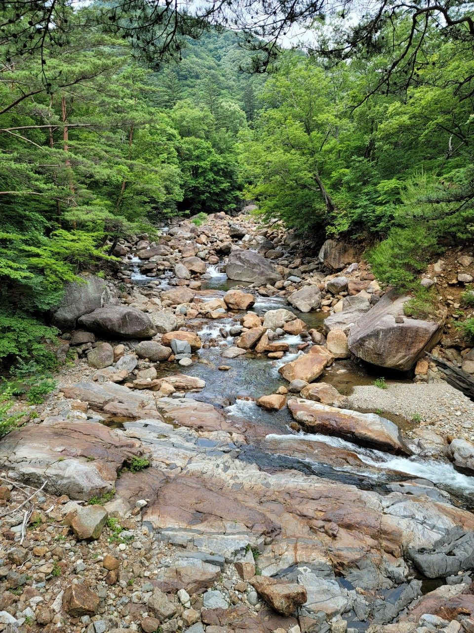 산청 가볼만한곳 지리산 대원사 계곡길, 유평마을코스 계곡 트레킹 추천 여행지
