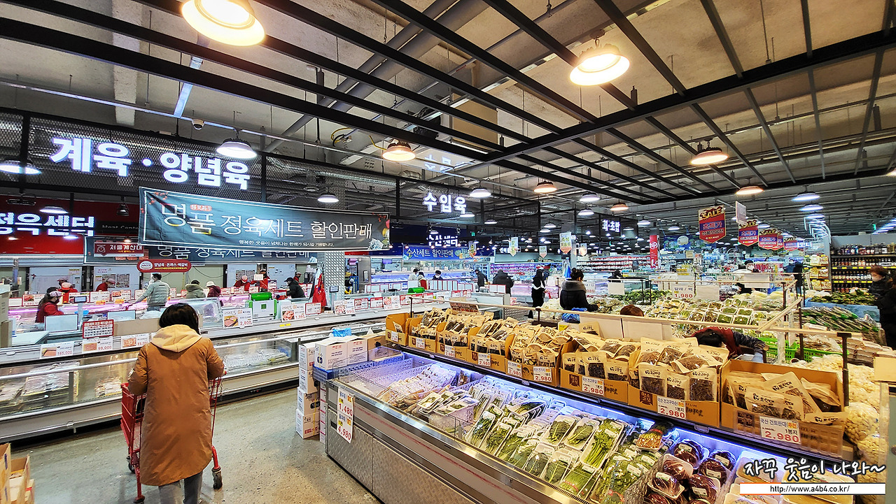 인천 청라 하나로 마트 Vs 와마트 초짜방문 후기 ★ 솔직리뷰 ~ 여행 맛집 전시 공연