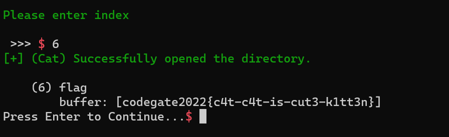 [CTF write up] Codegate CTF 2022 Junior - cat_tail : Hidden Format String Bug