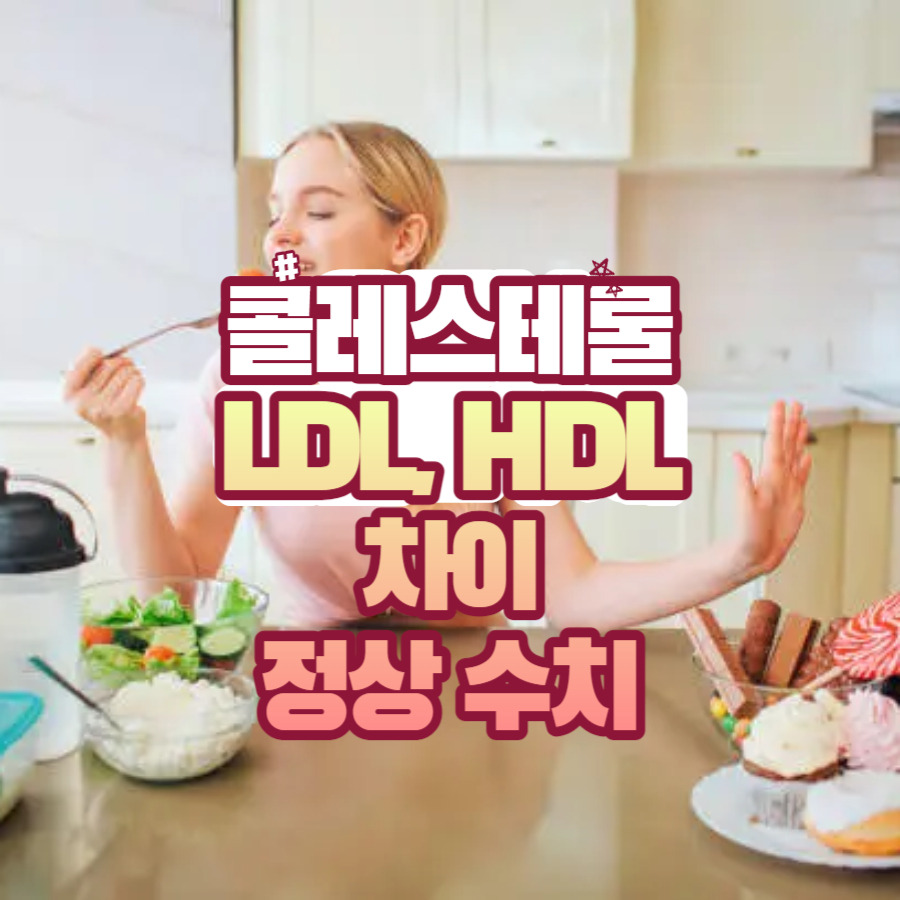 Ldl 콜레스테롤 Hdl 콜레스테롤 차이 및 정상 수치