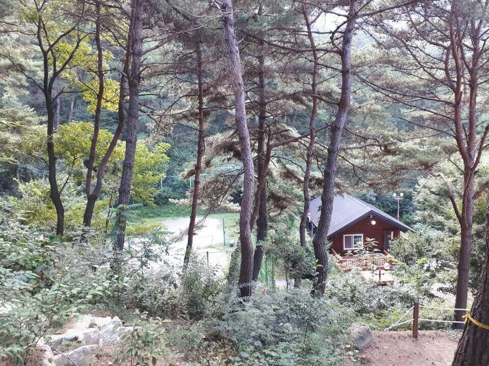 봉수산 자연휴양림 온라인 예약하기 숙소 야영장 캠핑장 실시간 예약 현황 보기 충남 예산군