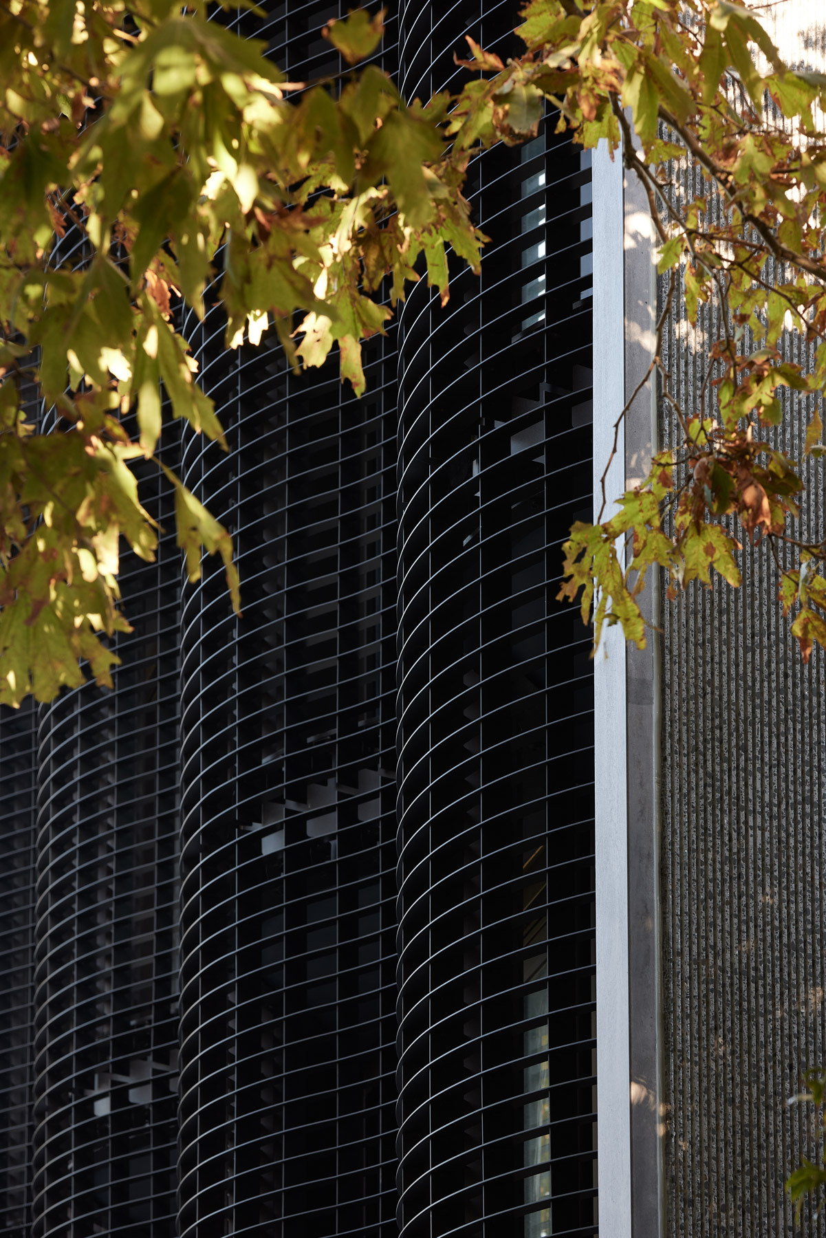 [ MONK MACKENZIE, ARTIFACT PROPERTY AND AMELIA HOLMES ] JERVOIS ...