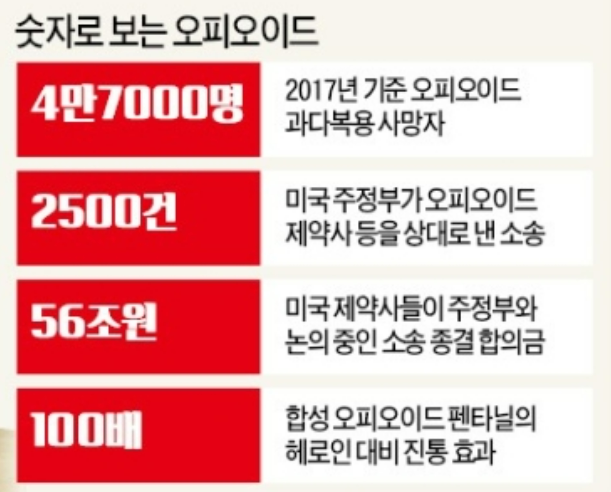 소염진통제 종류 Nsaids 펠루비정 펜타닐 러키펜정 정리 5분전 유용한 건강 요리 소식