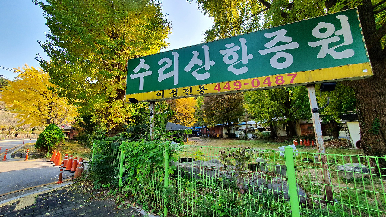 20221028 노란 은행잎 융단처럼 깔린 문닫은 수리산한증막