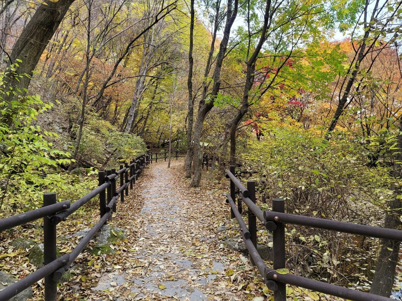 전북 무주 가볼만한곳 가을 단풍 추천 여행지 적상산 전망대 적상호