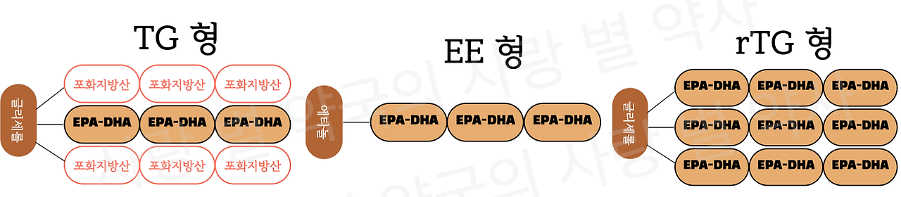 오메가 3 종류 (Omega 3) ( TG, EE, rTG) 차이점 알아보기