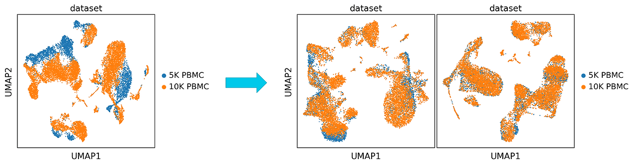 Single Cell Analysis Best Practice 정리해보기