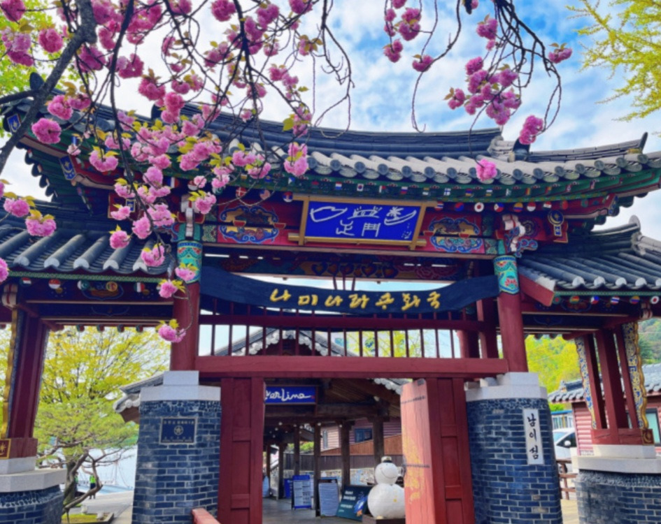 춘천 가볼만한곳 남이섬 입장료 배 시간표 반려견 입장 정보 알아보자