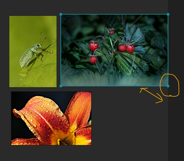[PureRef] 레퍼런스 모아두기 좋은 프로그램 추천