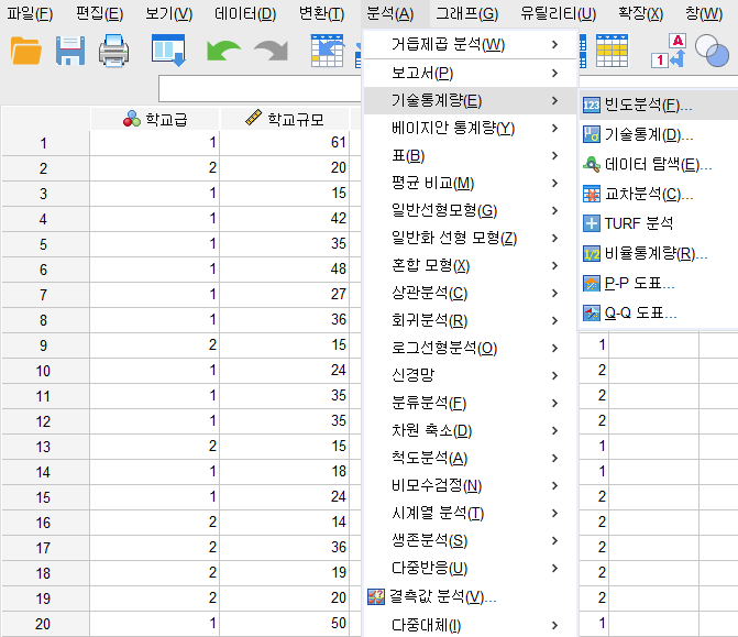 Spss 통계분석 6 기술통계란 범주형 변수 빈도분석하기