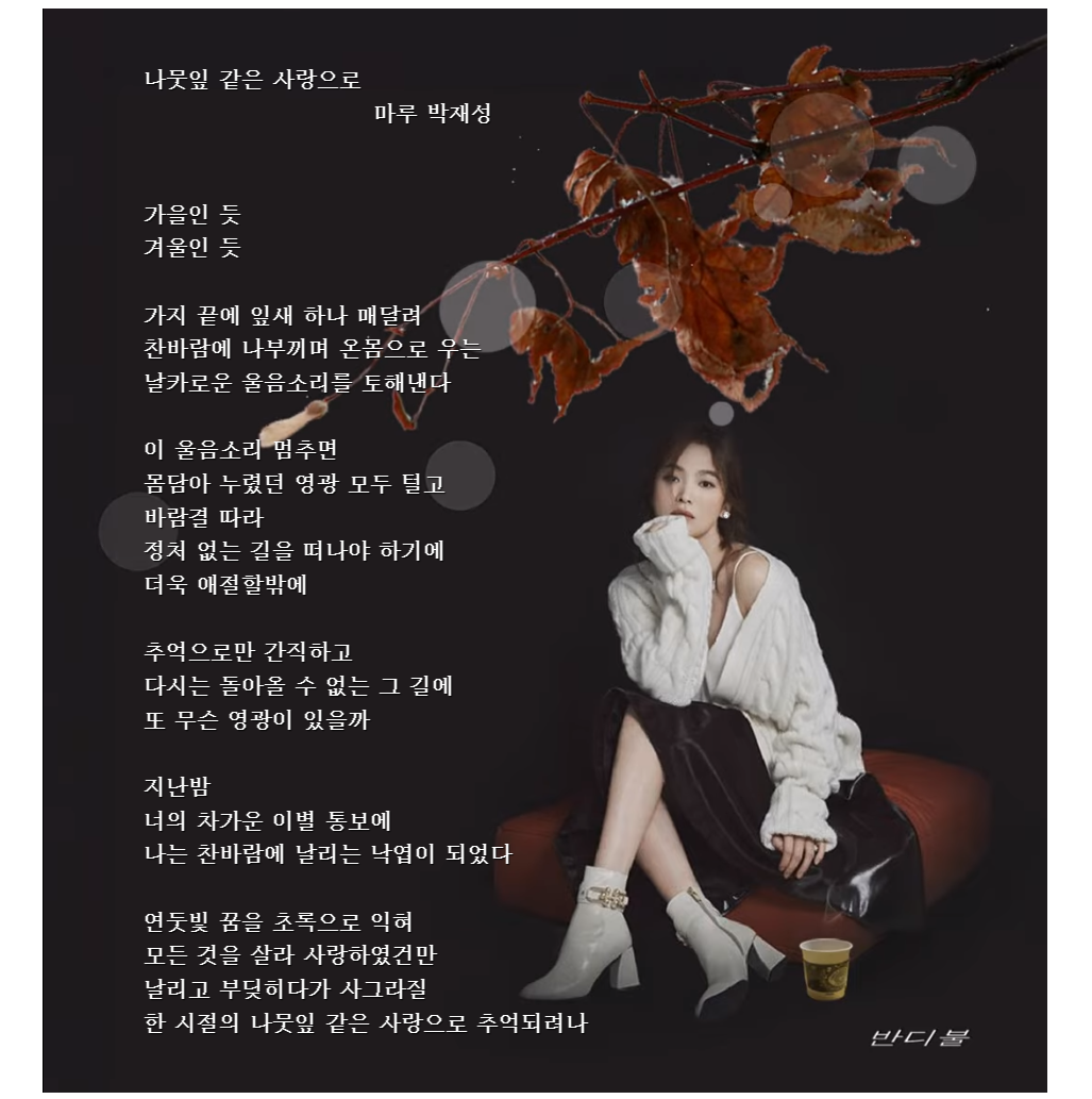 나뭇잎 같은 사랑으로