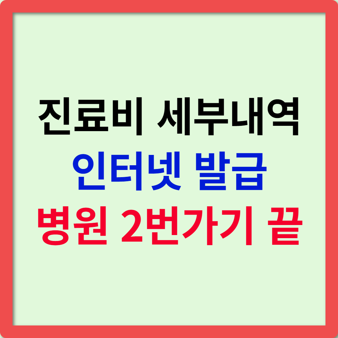 진료비 세부내역서 인터넷 발급 진료비 영수증 발급 비용까지 한눈에 정리