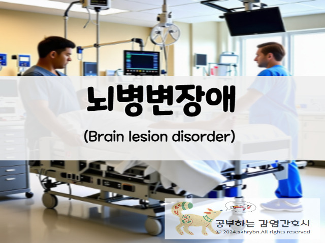 성인간호뇌병변장애brain Lesion Disorder 장애 등급별로 알아보기 1급 6급 판정 기준