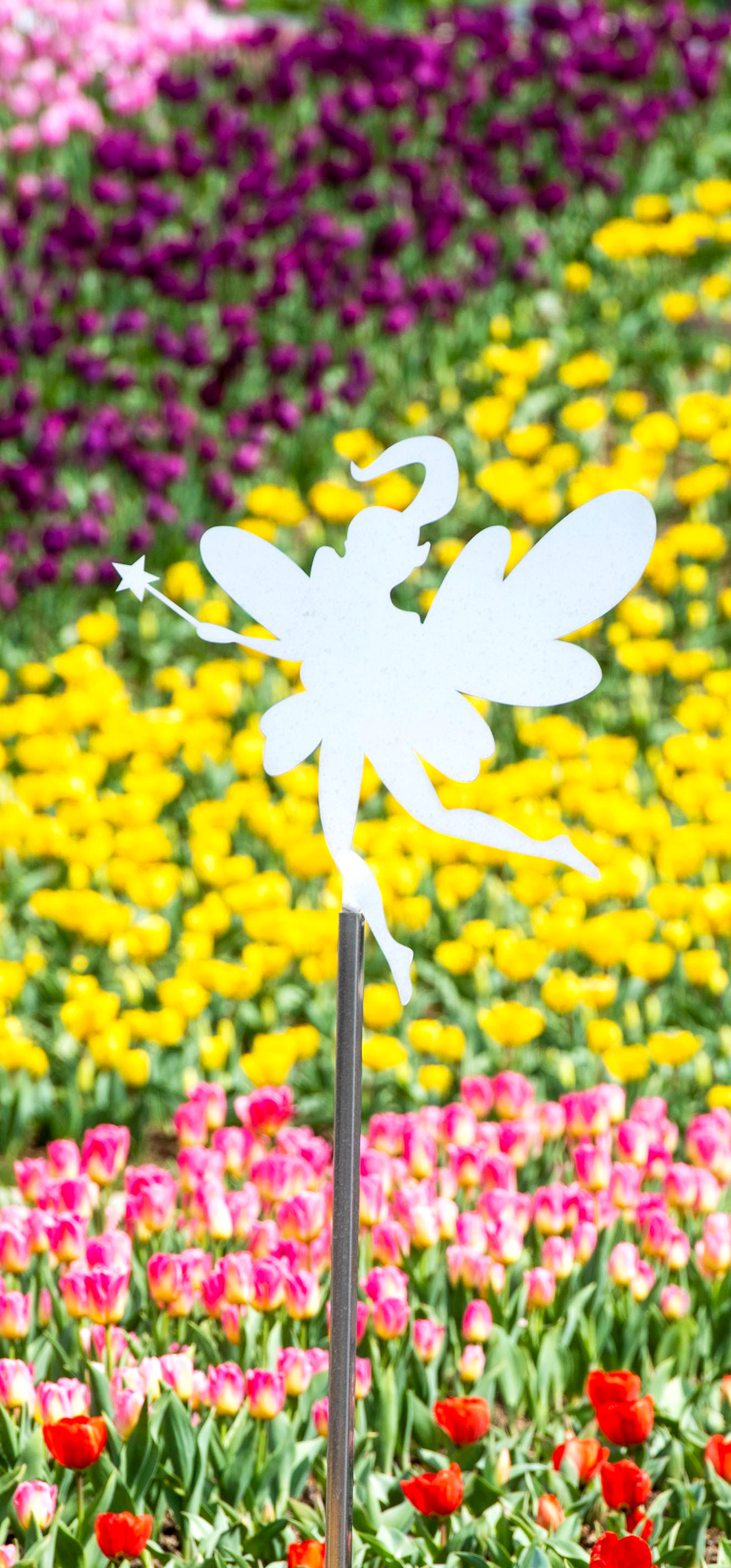 봄 향기 한가득🌼 에버랜드 봄 배경화면 콜렉션🌟