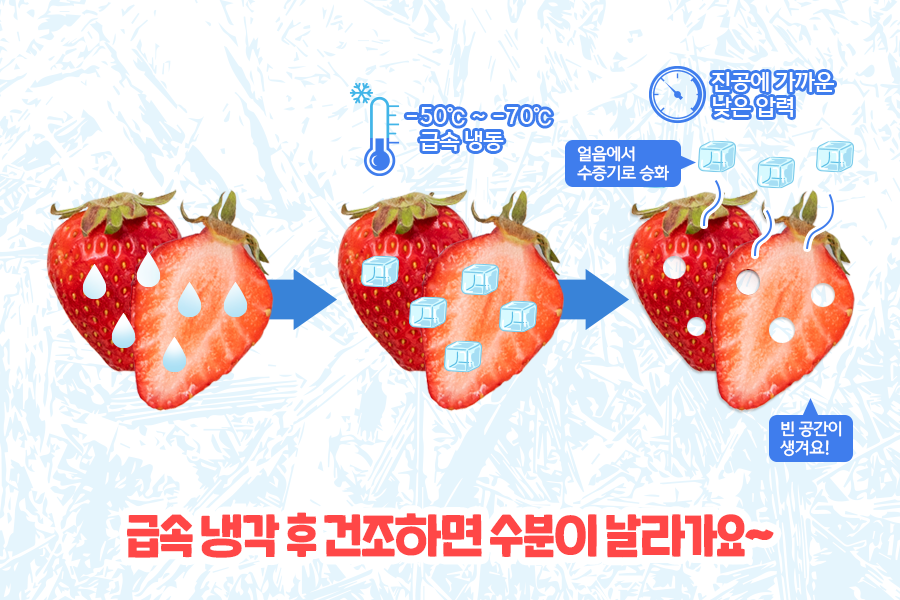 바삭바삭 동결건조 간식의 화학