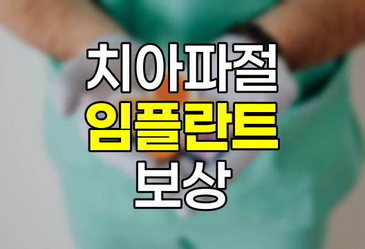 치아파절 임플란트의 상해수술비 보장 실태 메모리유